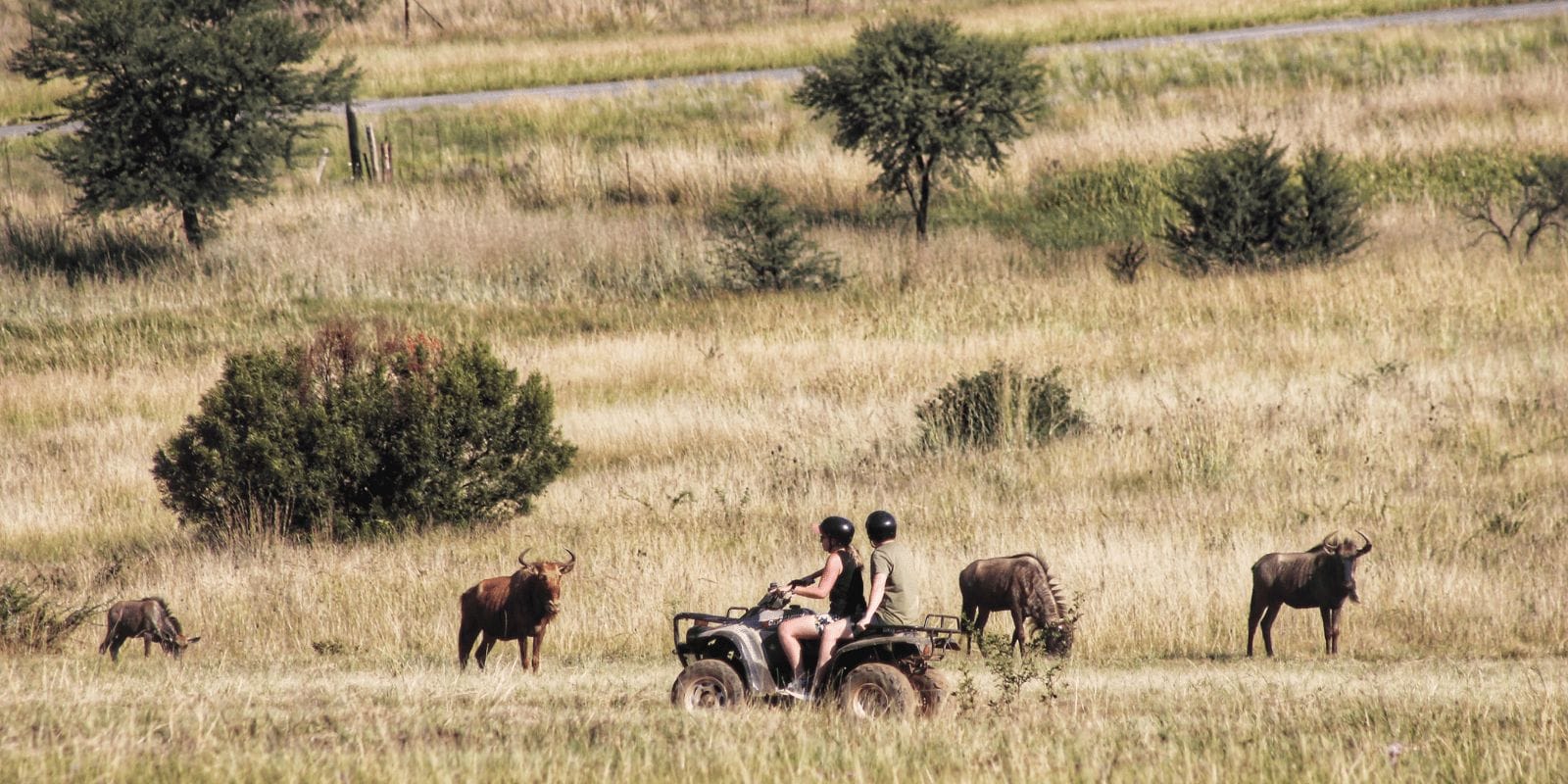 Fuss-Free Weekend Adventures for All at Segwati Safari Quad Bike Trails ...