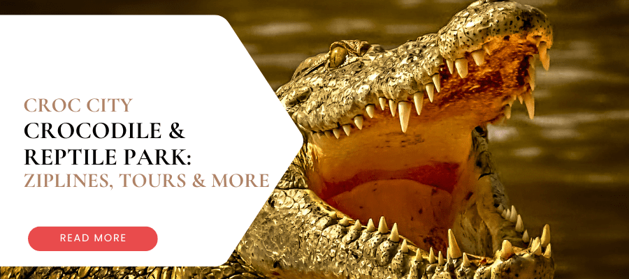 20+ Things to Do Under R150 in Johannesburg - What's on in Joburg