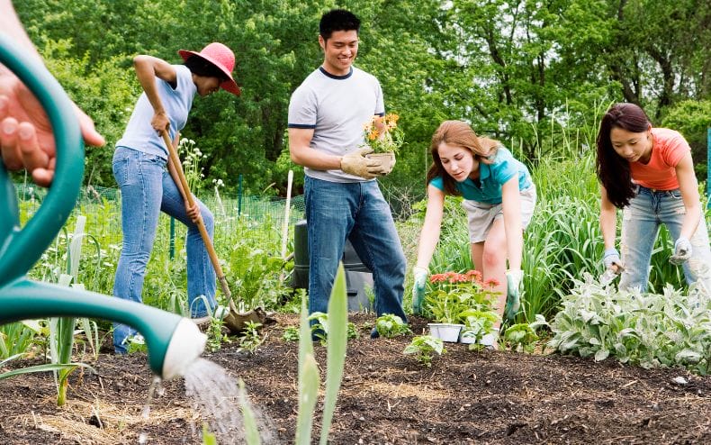 Community Projects - What's on in Joburg