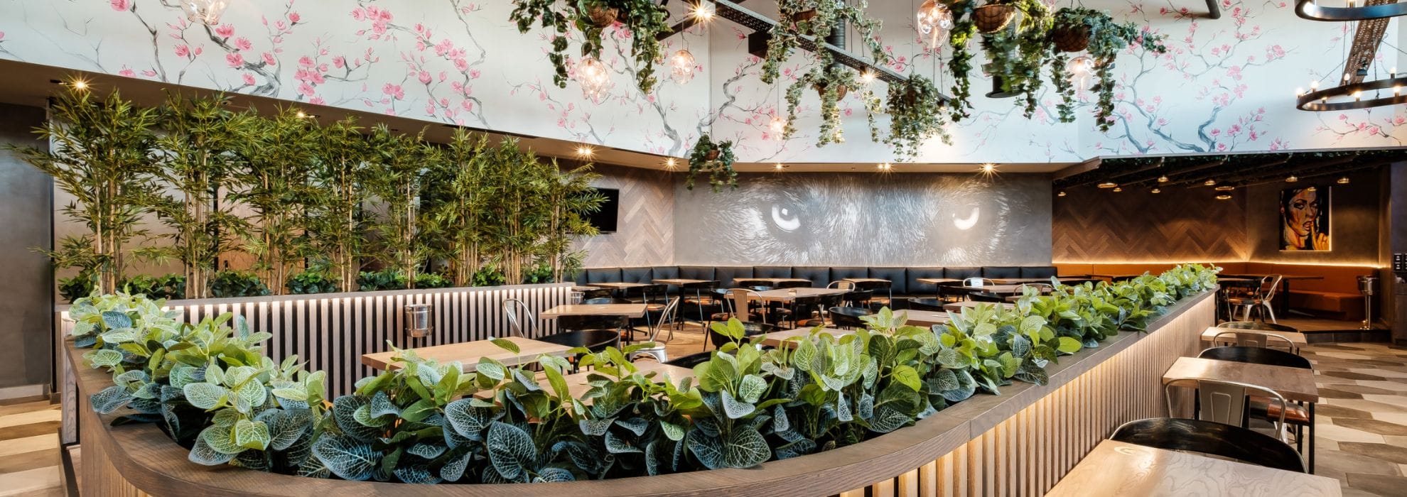 The Revamped Rockets Menlyn: Pretoria's Hotspot for Dinner, Drinks and ...