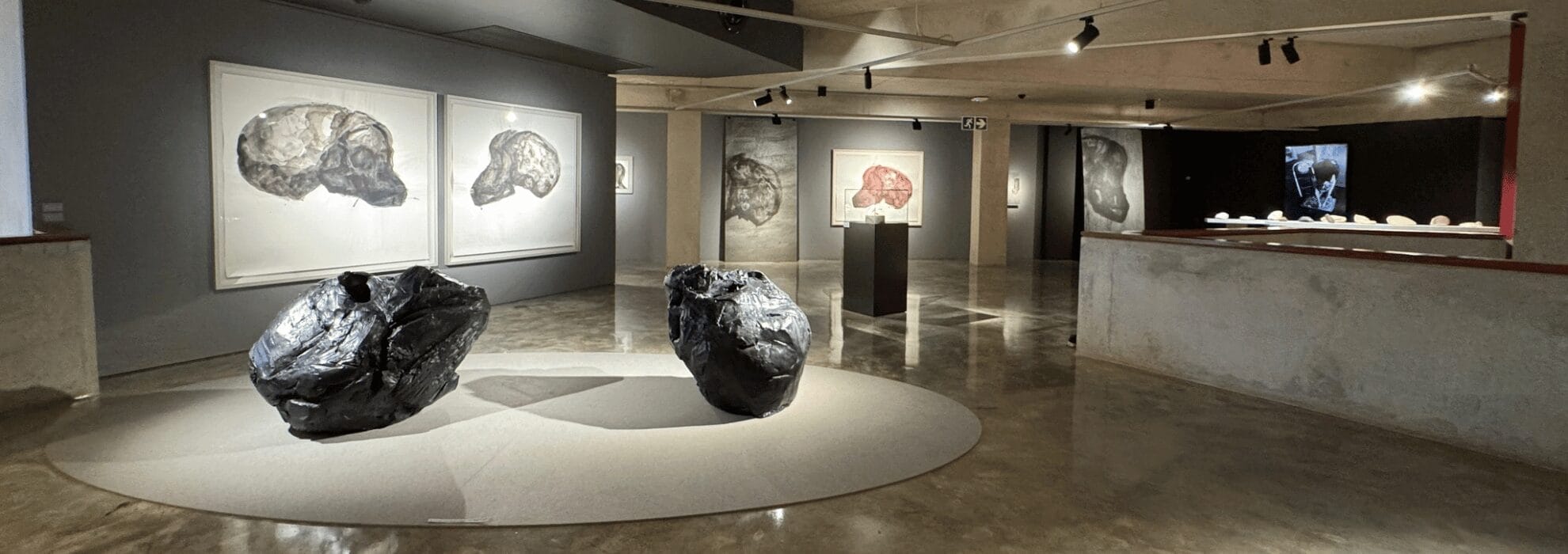 Wits University Origins Centre: All the New Exhibitions on Show at the ...