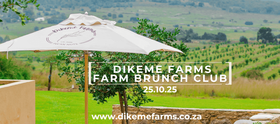 Level Seven Restaurant and Sky Bar: Sophisticated Rooftop Dine and ...