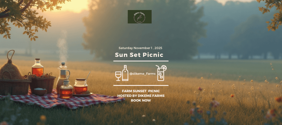 Level Seven Restaurant and Sky Bar: Sophisticated Rooftop Dine and ...